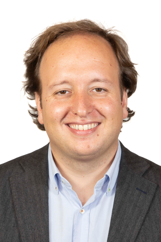 Sr. D. Francisco Dinís Díaz Gallego