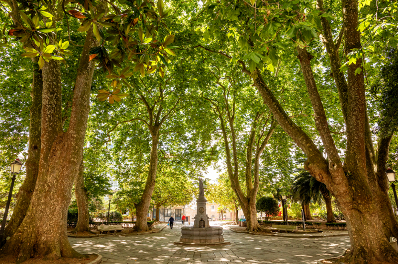 Plaza General Azcárraga